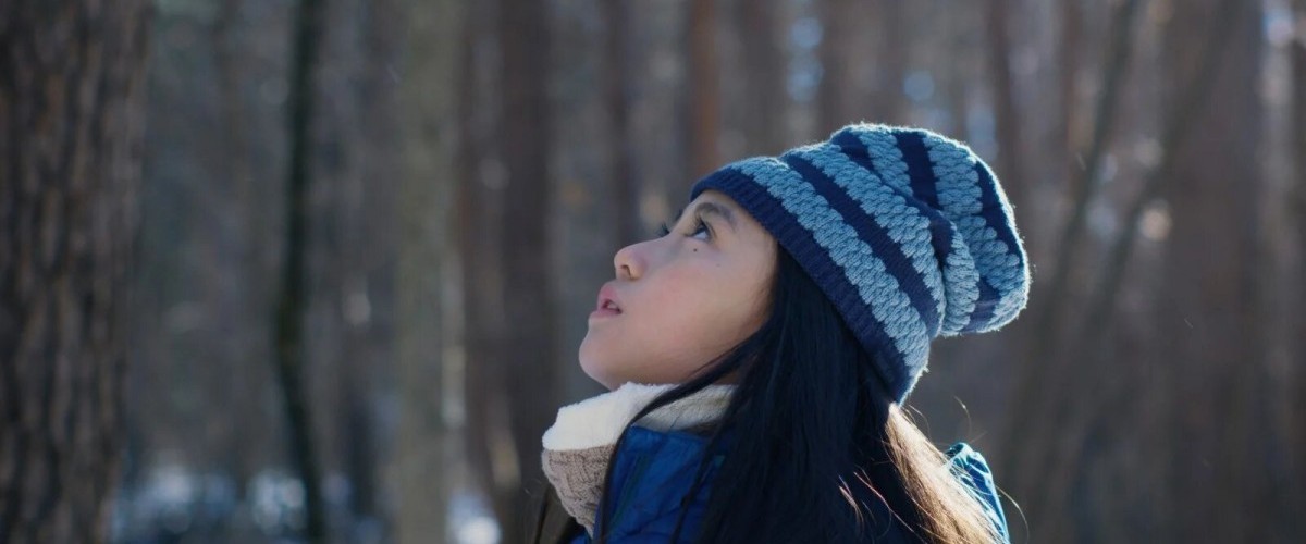 Fiche film - Cinéma Itsas Mendi